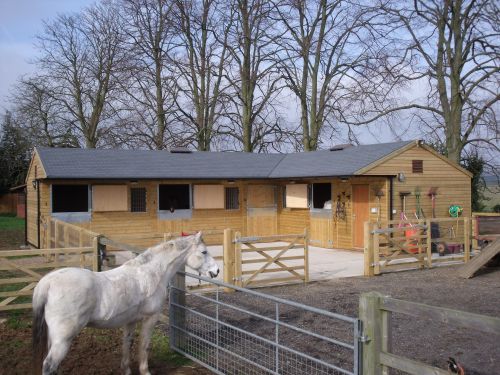Equestrian Building Gallery | 39+ Equestrian Stable Ideas